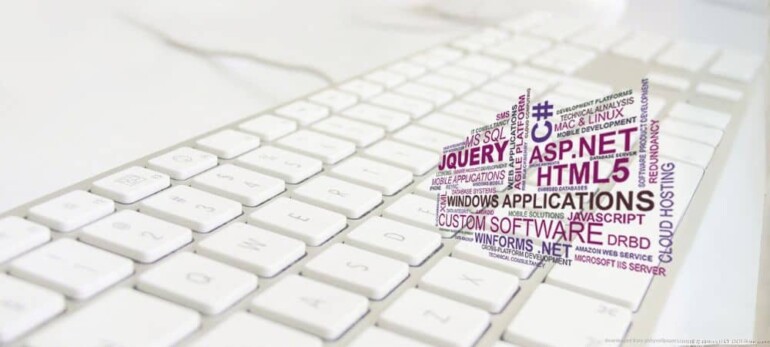 Software Development – Dominant System Integrator